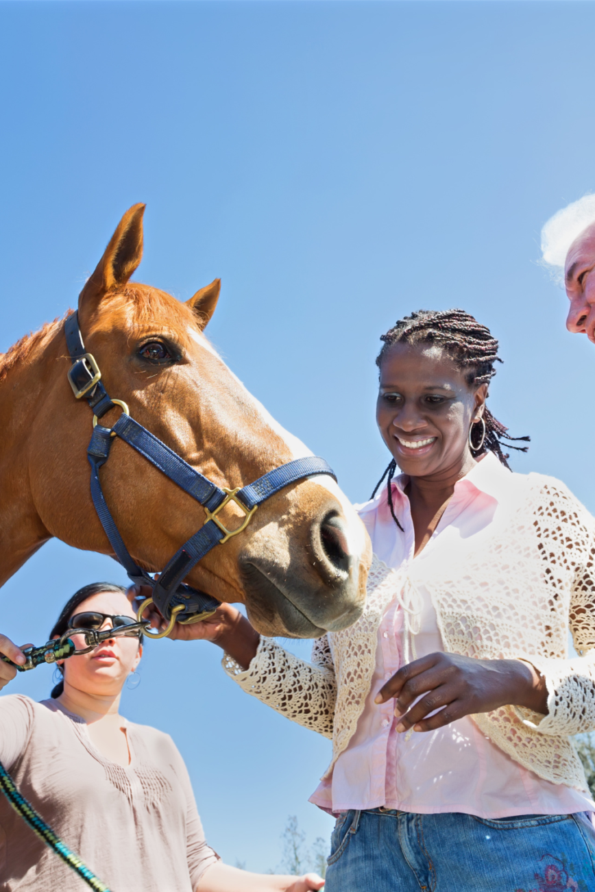 Buying and Selling Horses – How to Make a ton of Money - Everything ...