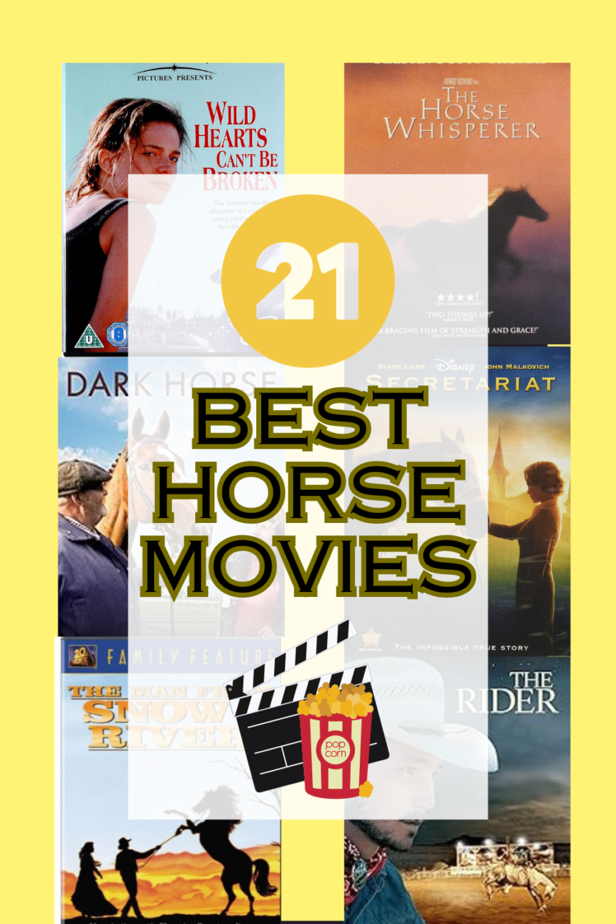 Best Horse Movies of all time-Top 21 List You Will Want to Watch Now!
