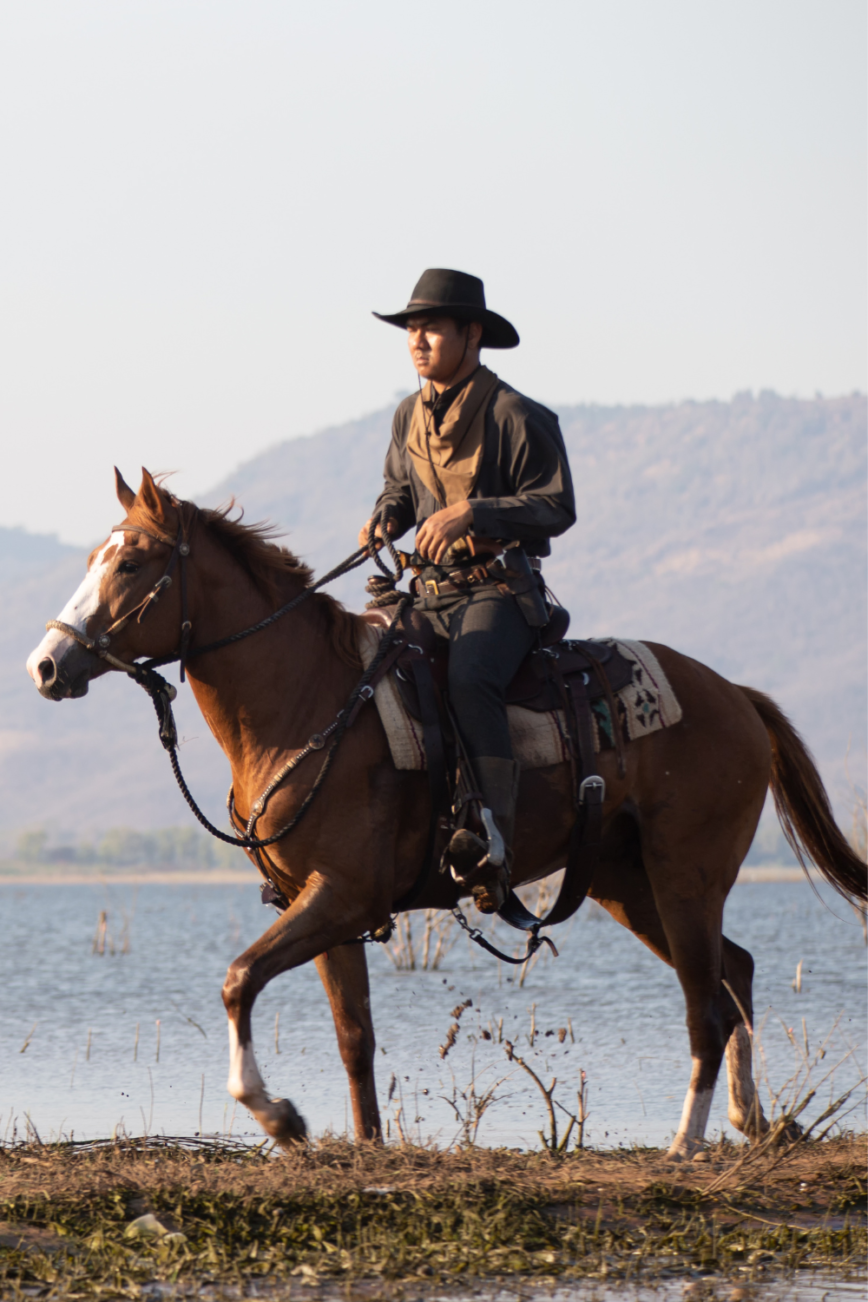 The Barn Sour horse – How to Retrain Them - Everything Country Living