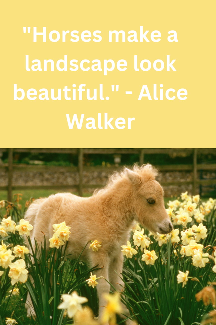 Feel Strong and Inspired: 13 Empowering Cowgirl Quotes About Horses