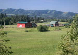 Where is Heartland Filmed: All you need to know about The Filming ...
