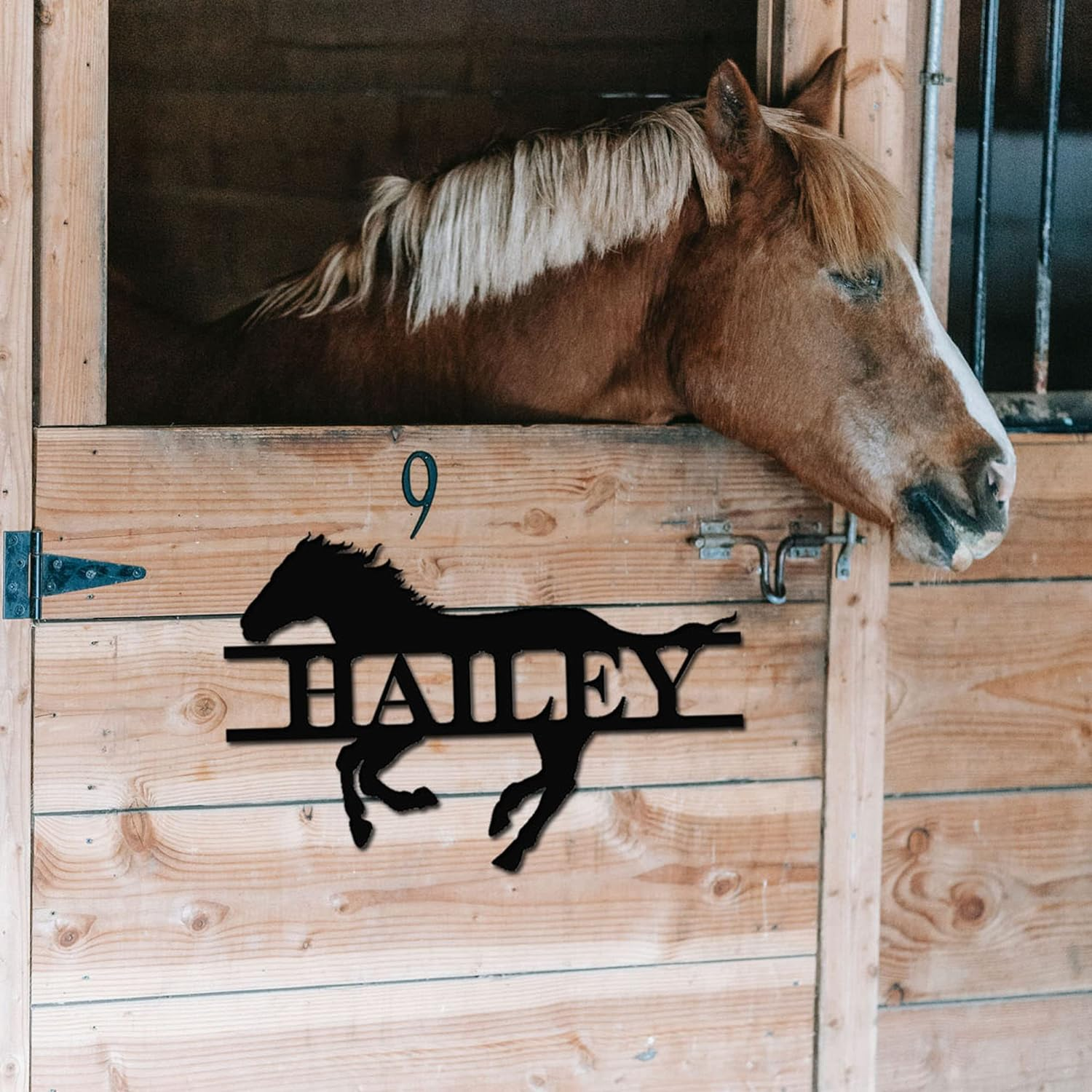 Beautiful Mare Horse Names: A Guide to Naming a Filly