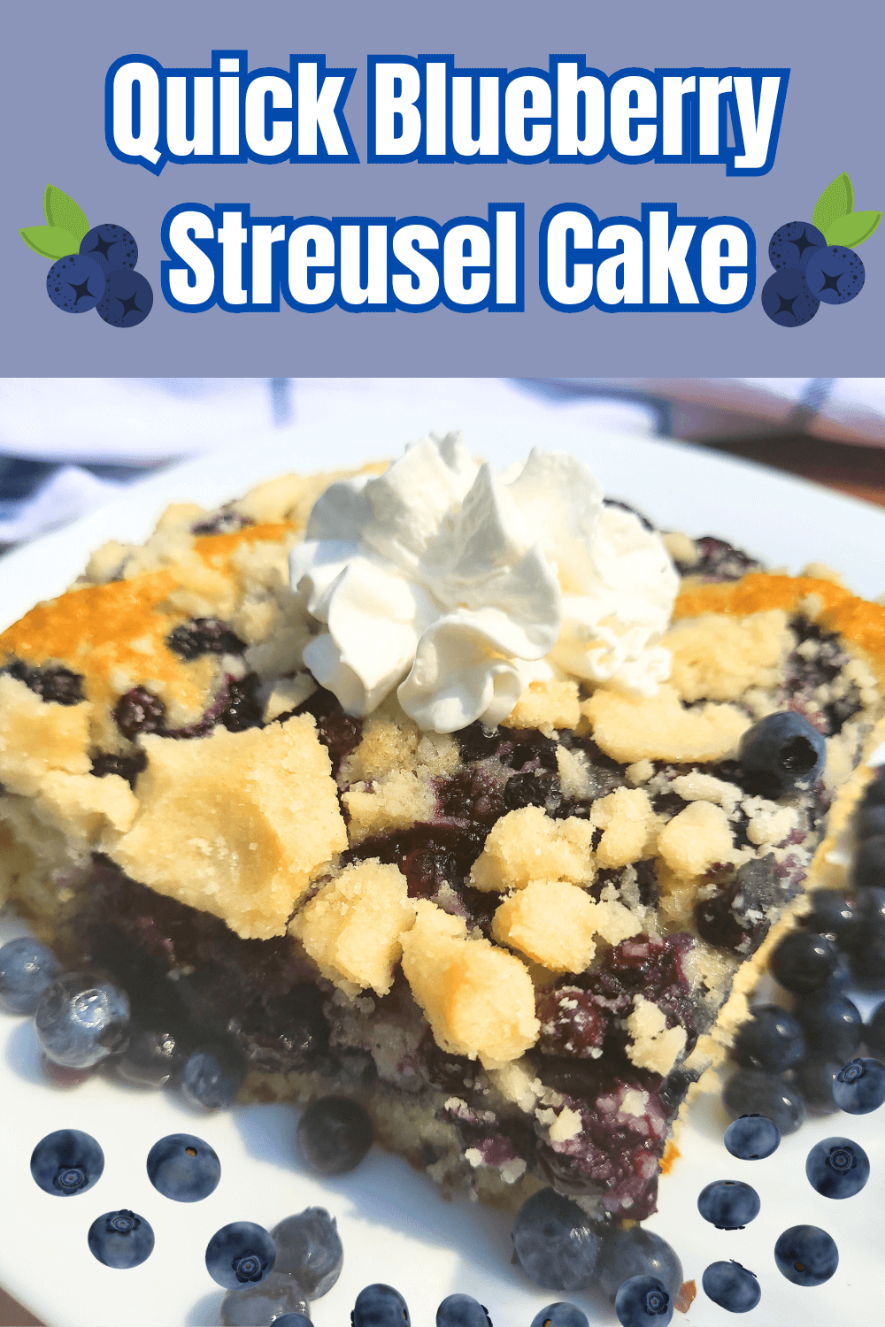 The Best Blueberry Streusel Cake (Platz) -It’s So Easy to Make